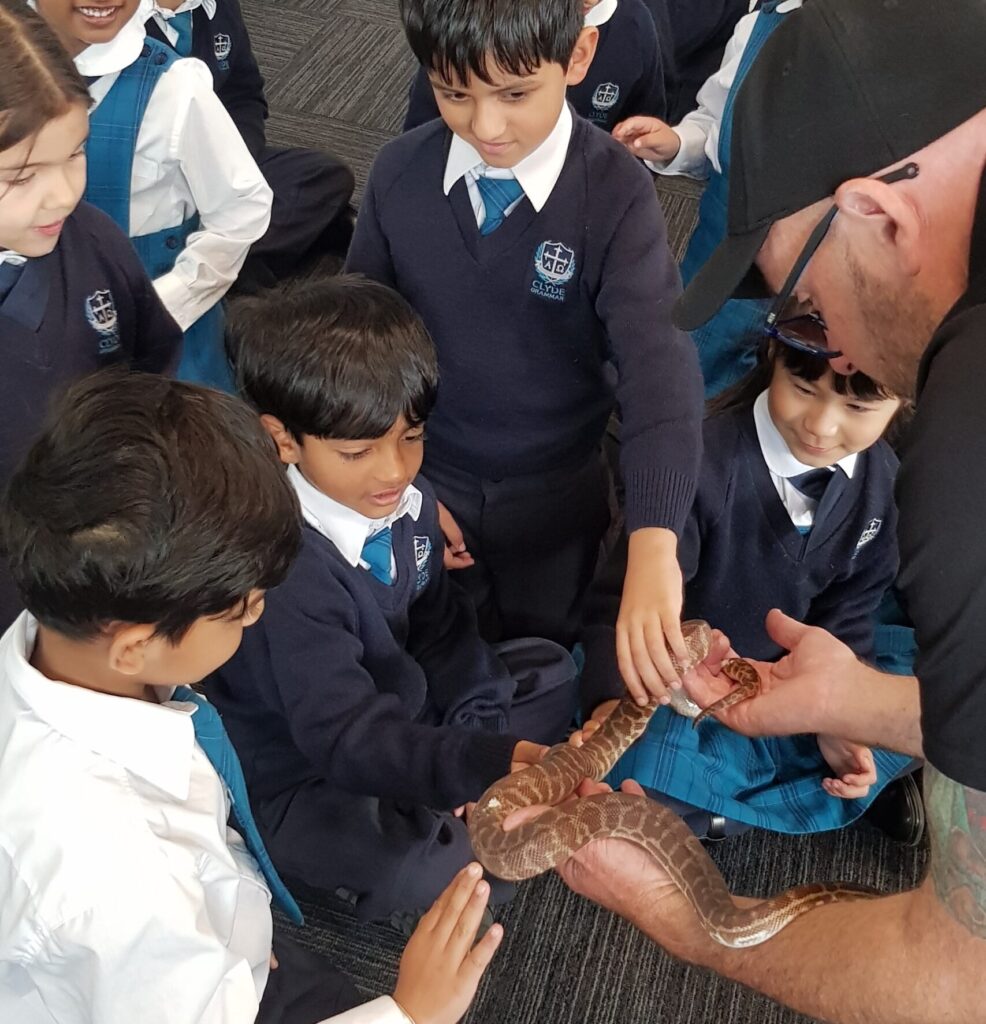 Classroom Highlights from May – Clyde Grammar