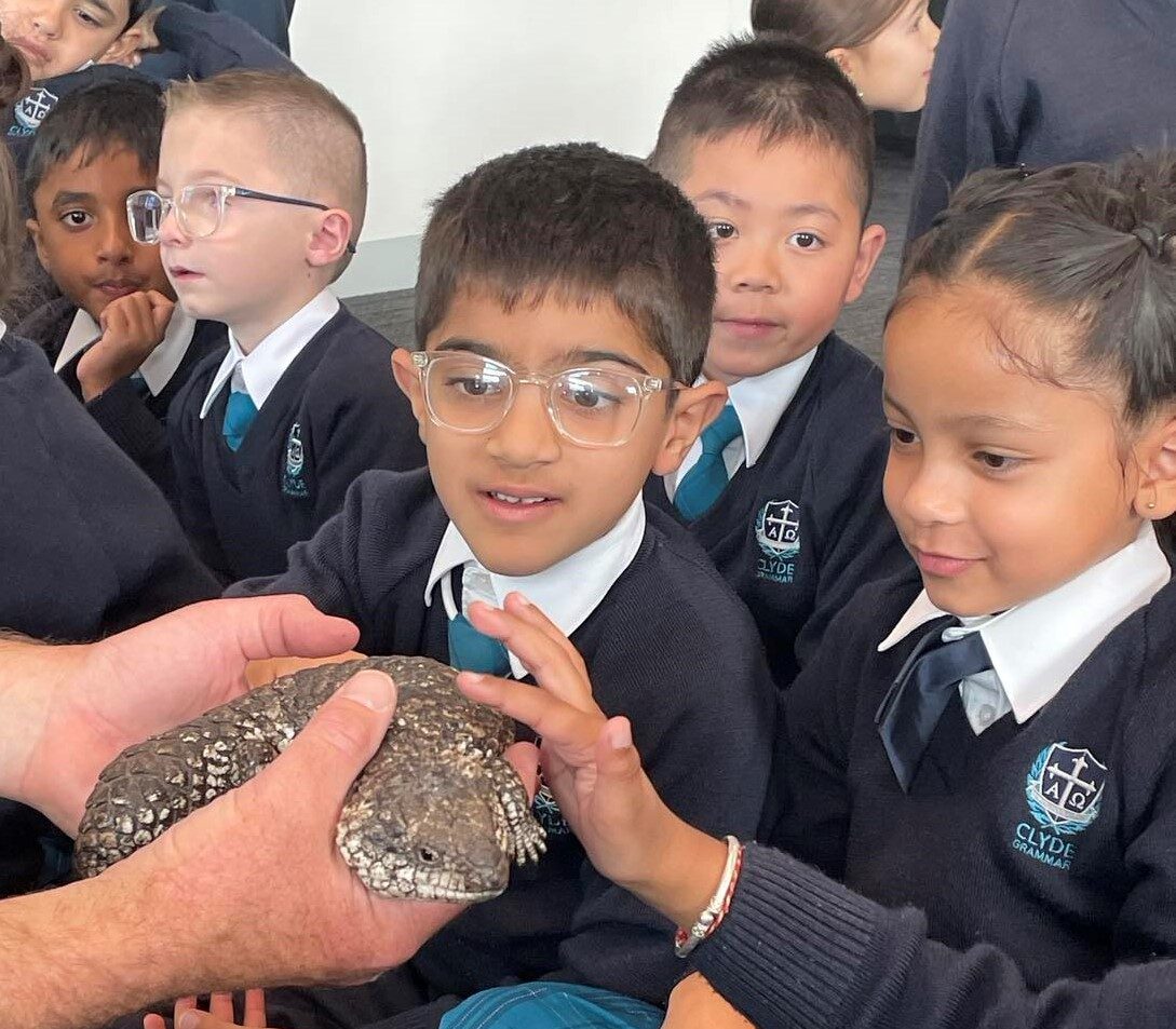 Classroom Highlights from May – Clyde Grammar